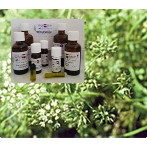 Anethol natürlich reiner Anisgeschmack natürlich kaufen Deutschland ...